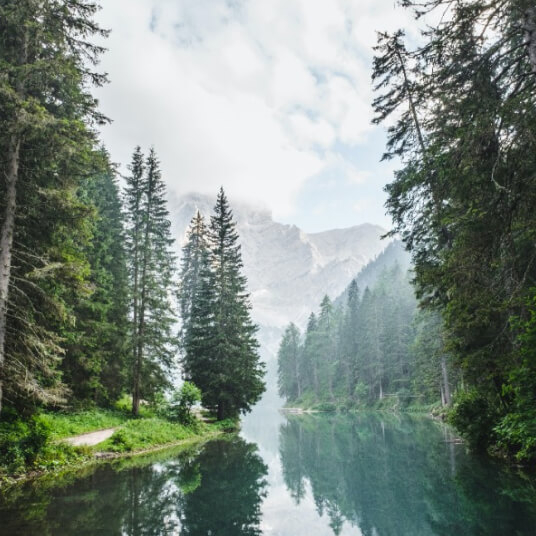 Offerings – MMAX META FIGHT NIGHT