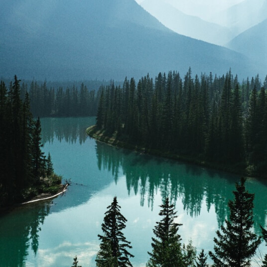 Offerings – MMAX META FIGHT NIGHT