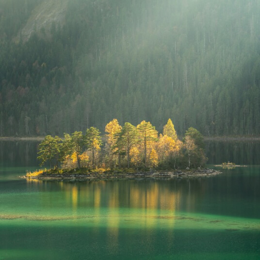 Offerings – MMAX META FIGHT NIGHT